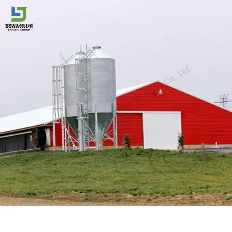 Layer Cages Egg Chicken Poultry House For 10000 Chickens , Poultry Farm ...