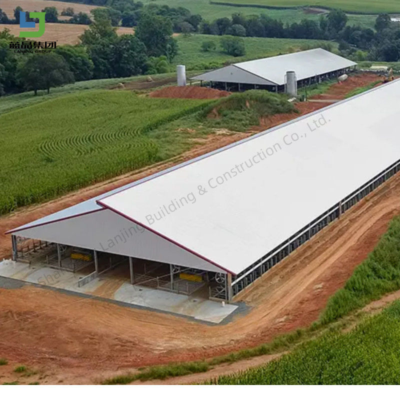 Prefabricated Steel Structure Dairy Cow Shed Poultry Farm For Livestock ...