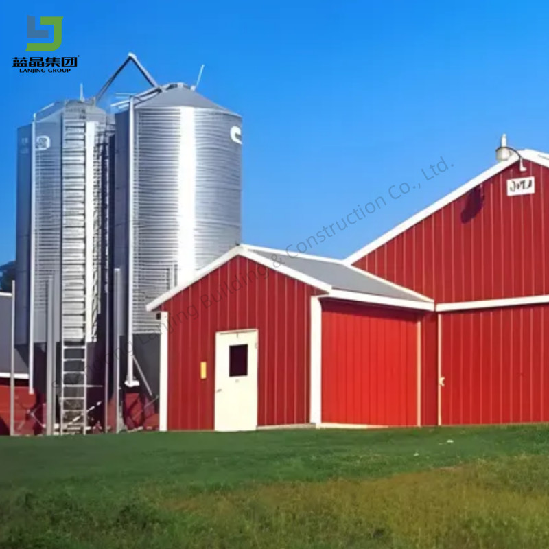 China Low Cost Steel Structure Commercial Steel Egg Layer Chicken House ...