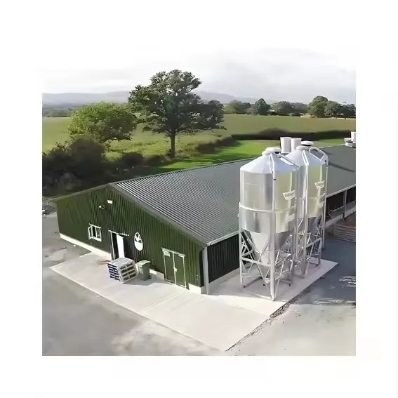 Steel Poultry Farm Building Broiler Layer Hens Chicken Steel Structure ...